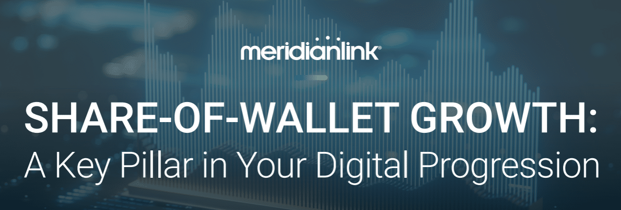 Share-of-Wallet Growth: A Key Pillar in Your Digital Progression ...